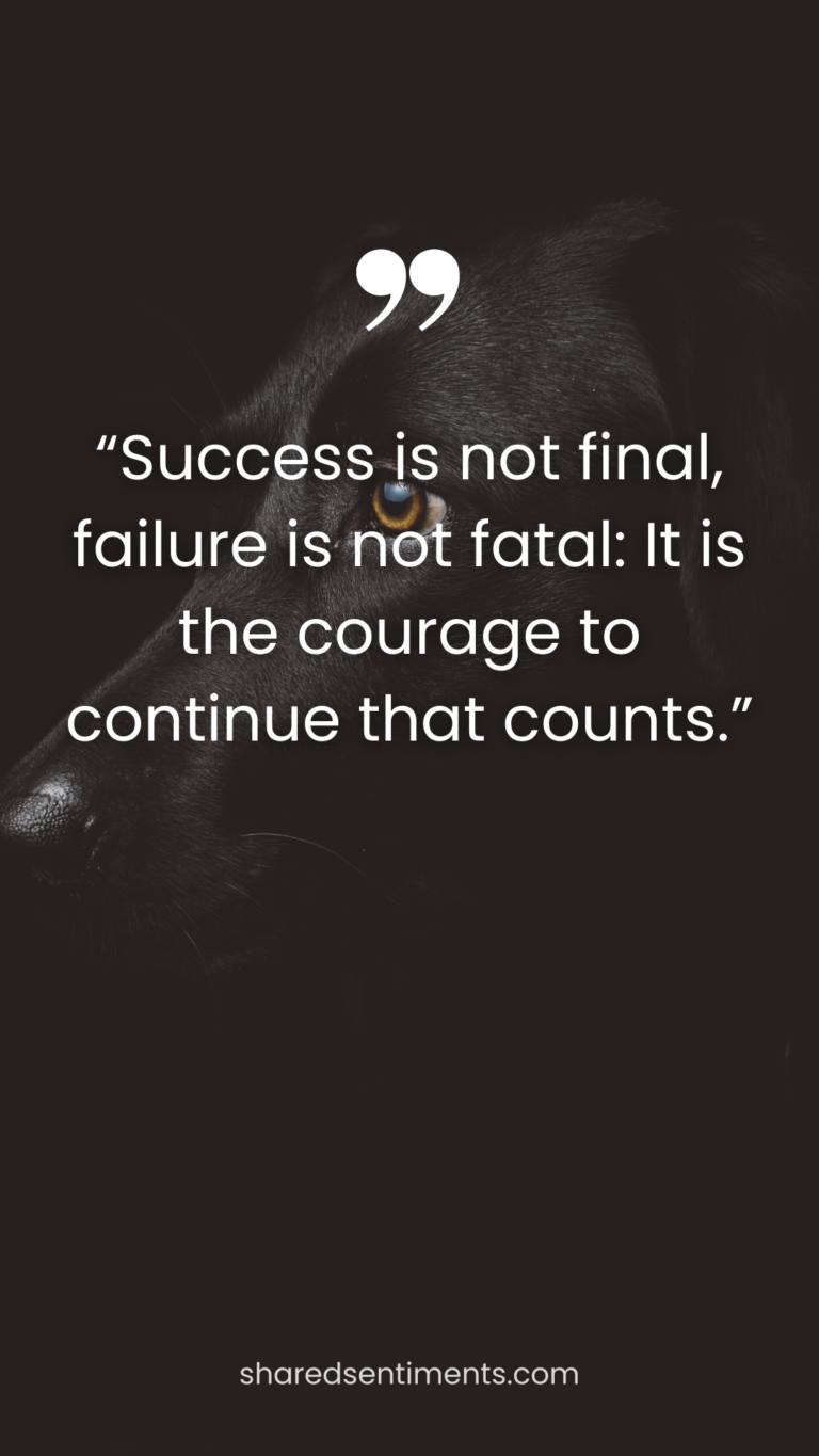 Fuel Your Drive: 80+ Inspiring Quotes About Pushing Yourself