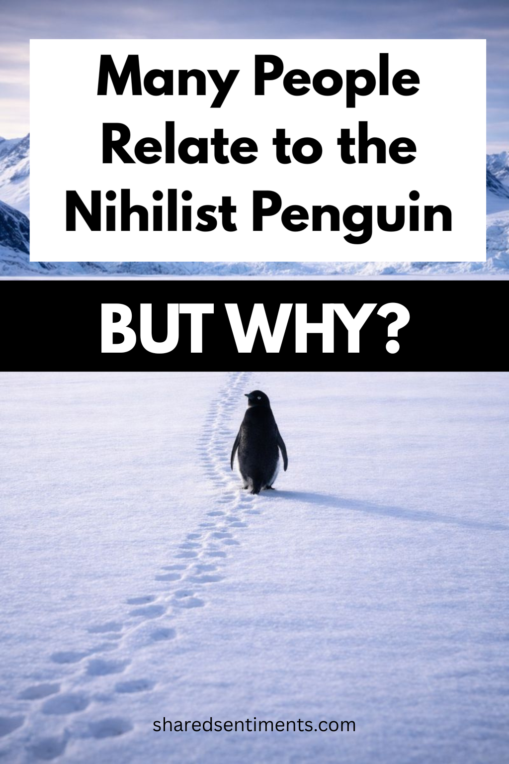 Why So Many People Relate to the Nihilist Penguin Right Now